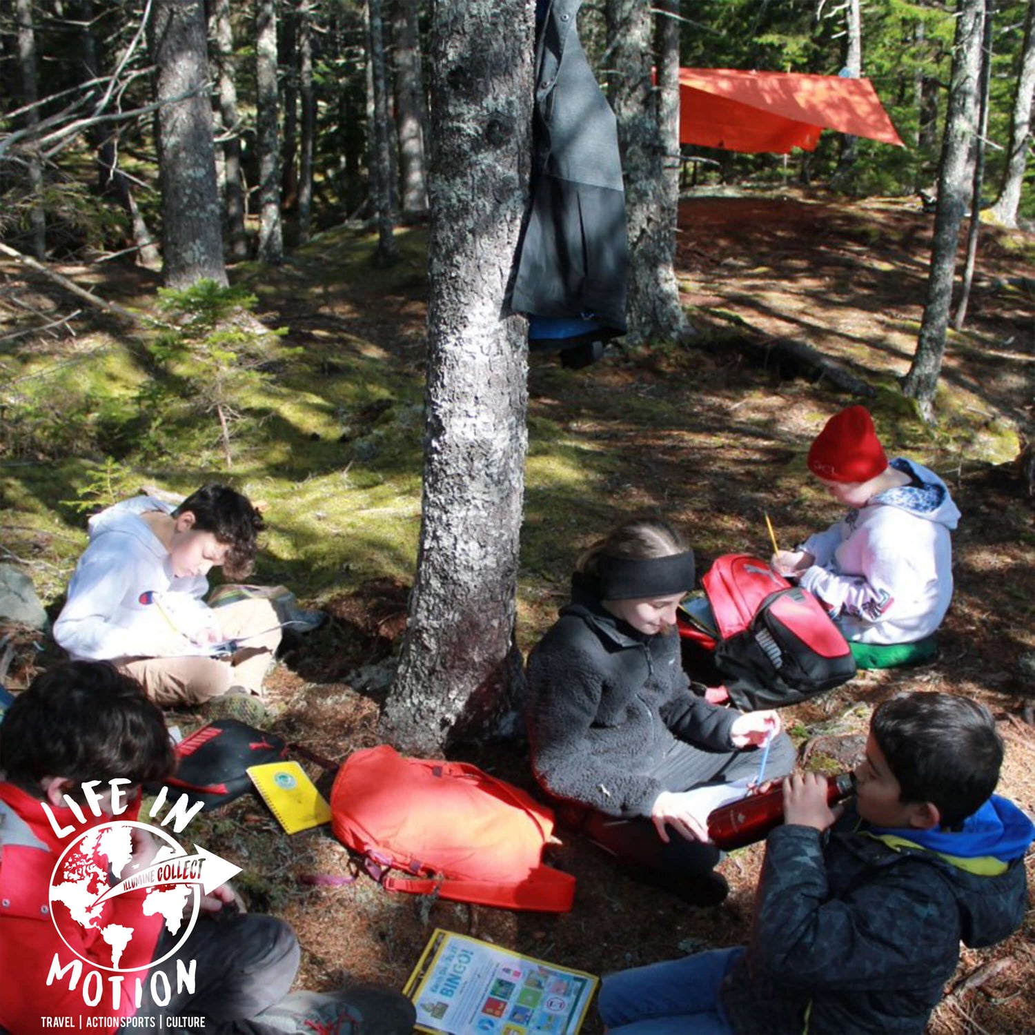 Episode #133: Spend More Time Outside - How to be active and connected – Illumine Collect